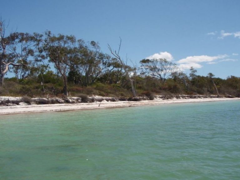 Welcome to Burrum Heads – On the Beach Burrum Heads